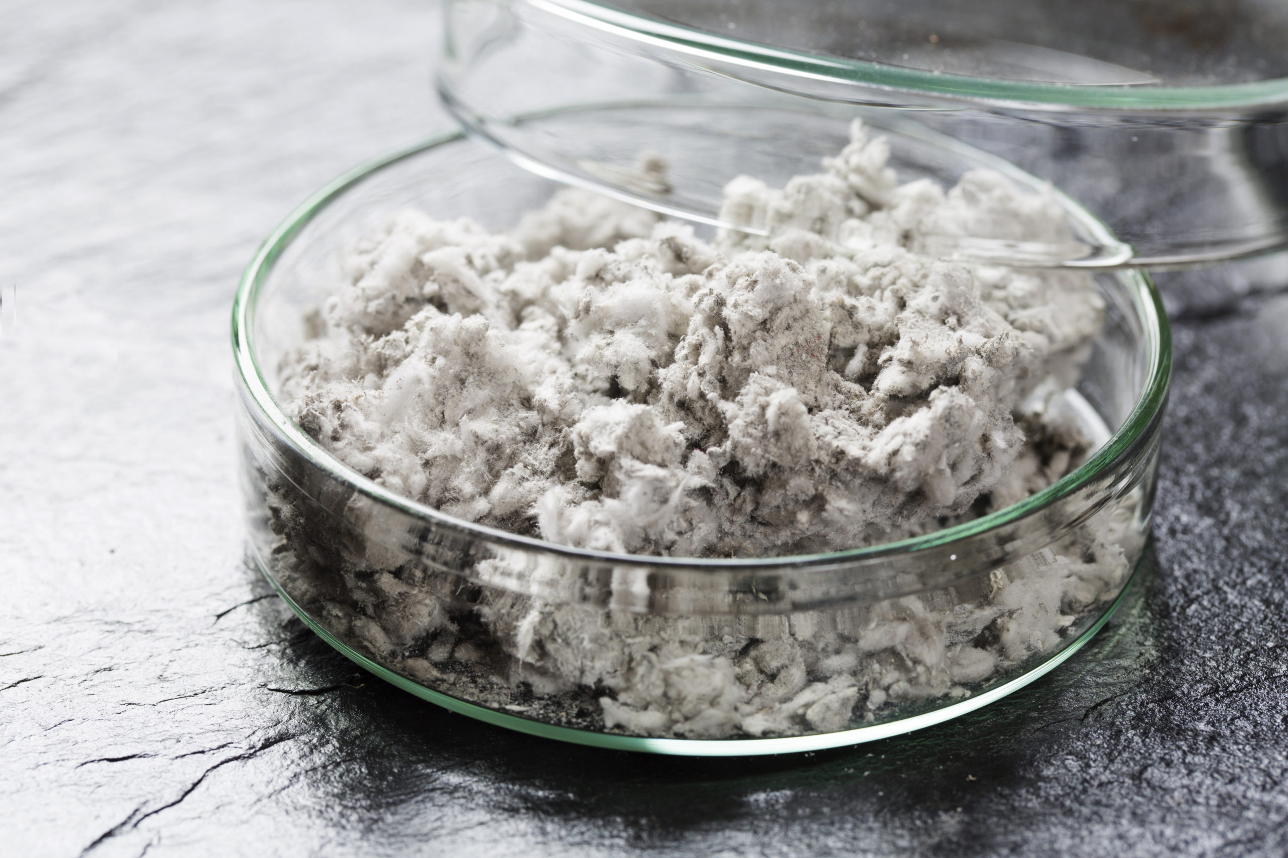 L’amiante | IDF Environnement